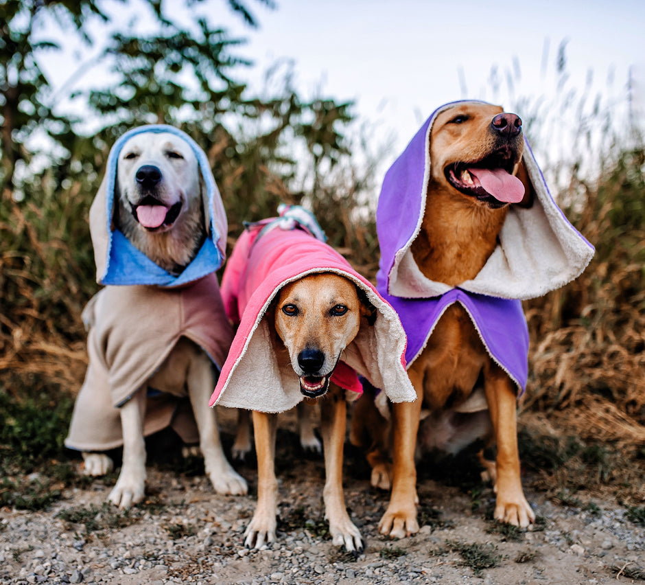ThreadzNTails | Custom Made Dog Clothing